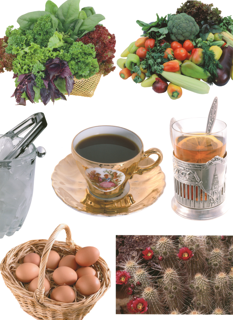 Малыши-карандаши, вариант №2: Epson Stylus C48