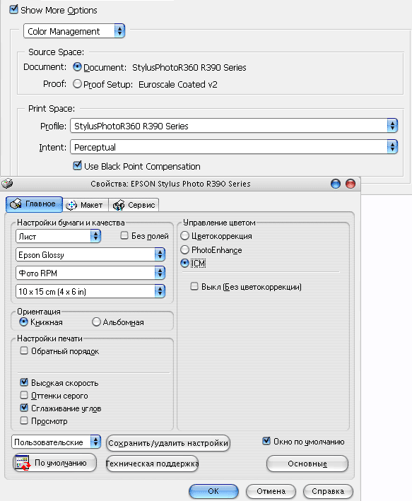 Epson Stylus Photo R390