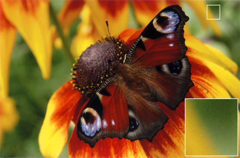 Epson Stylus Photo R390