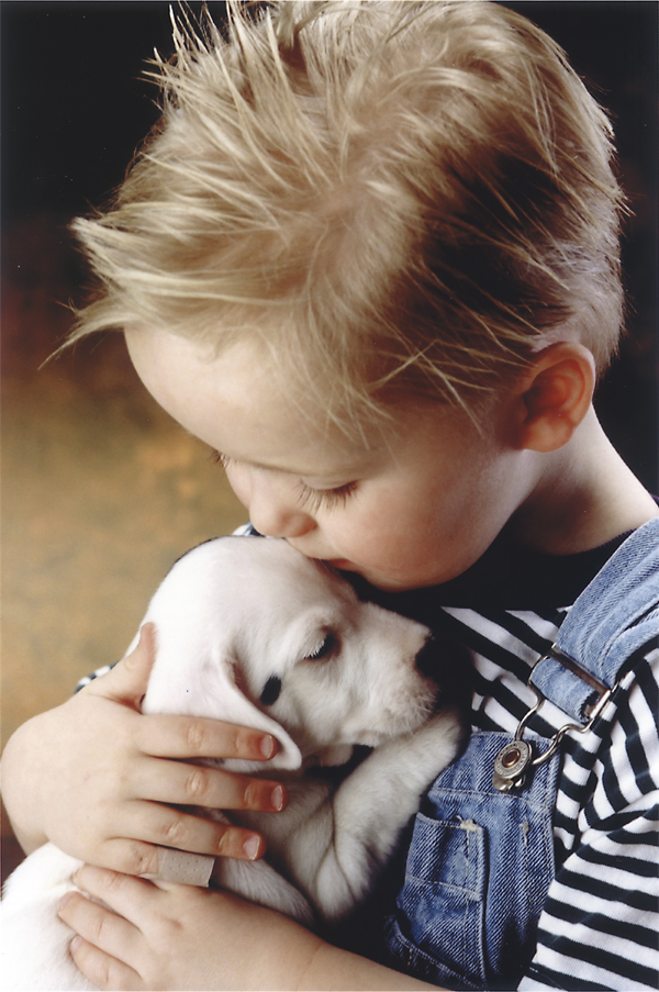 Epson Stylus Photo R390